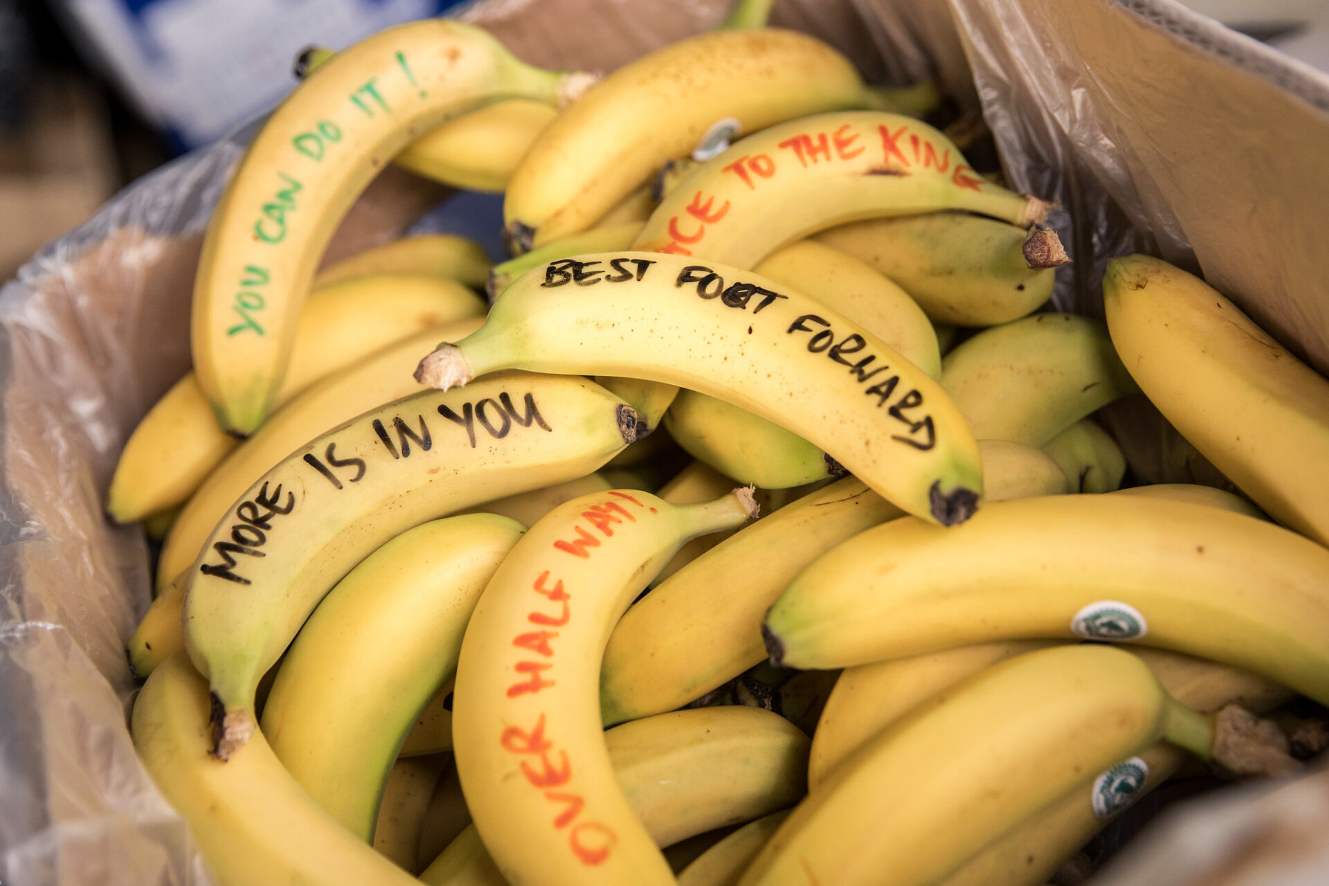 Ultra-marathon 100km beginner training plan